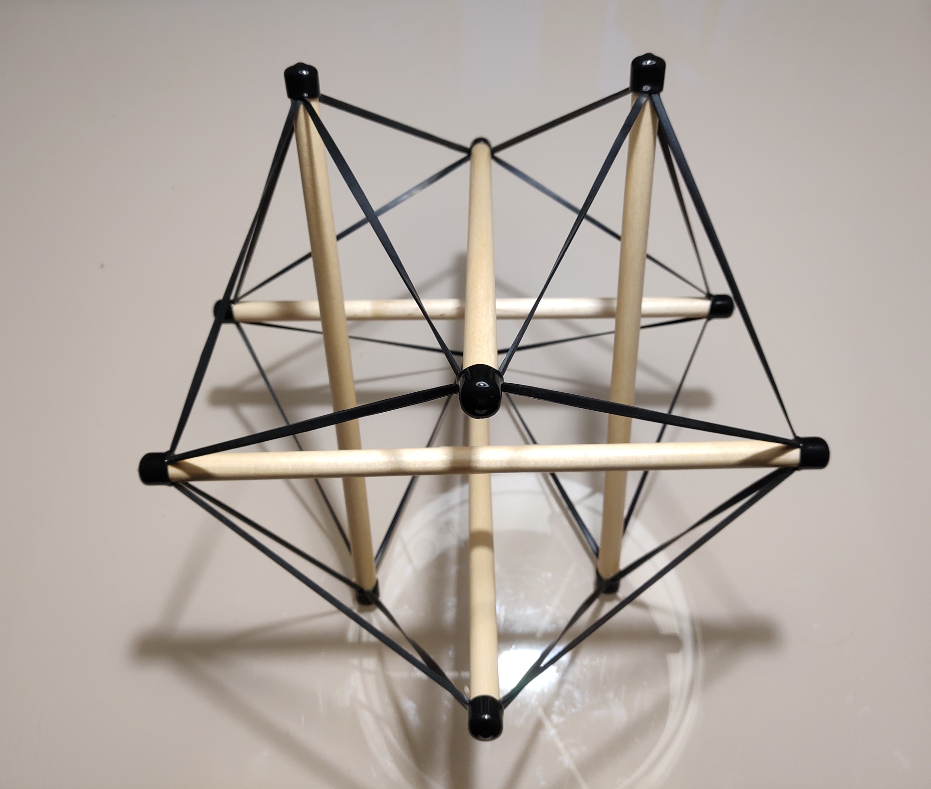 Biotensegrity :: Living Heart Intelligence